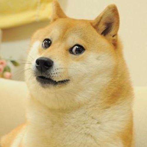 Иконка канала Pimon