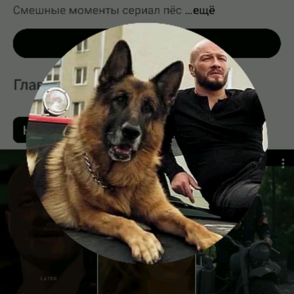 Иконка канала Паркурист_3000