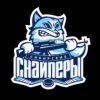 Иконка канала "Сибирские Снайперы"