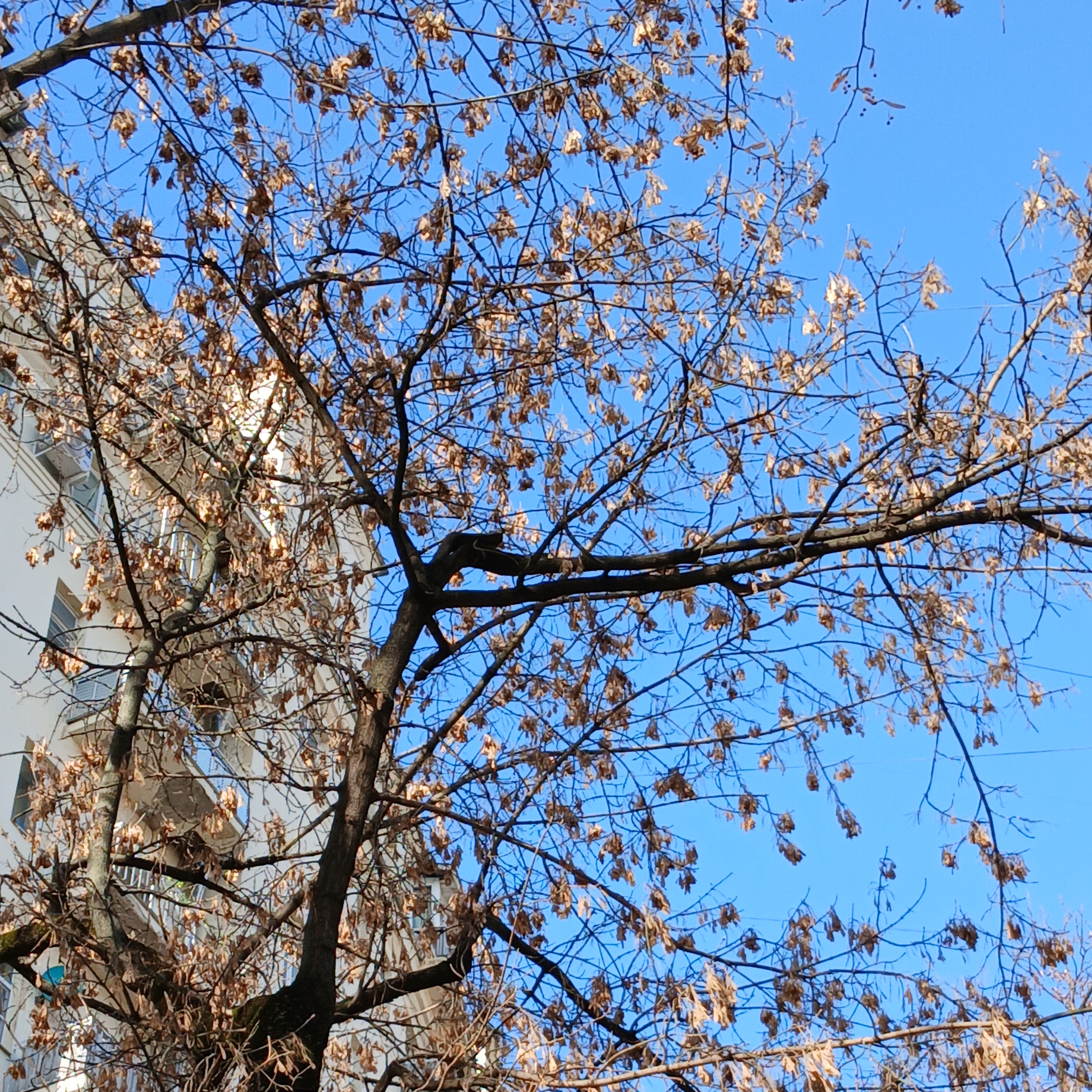 Иконка канала Мотивация Мини