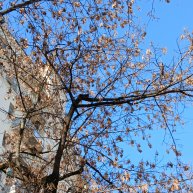 Иконка канала Мотивация Мини