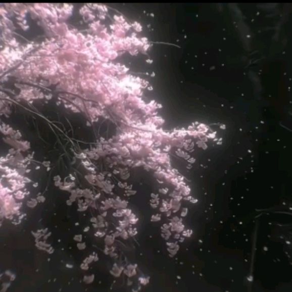 Иконка канала 𝚚𝚠𝚘𝚣𝟷𝚡