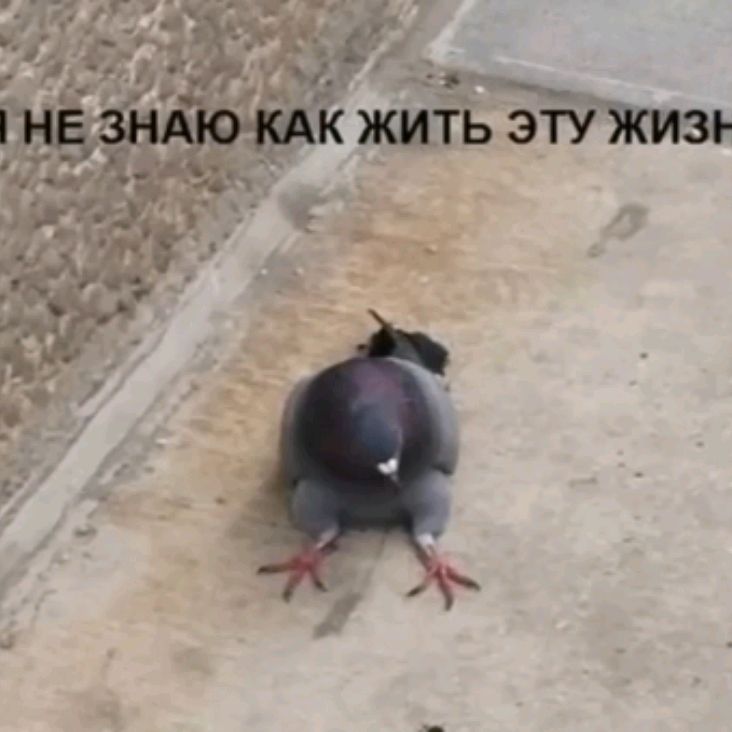 Иконка канала ...𖤐✟☹︎Alice☹︎✟𖤐...