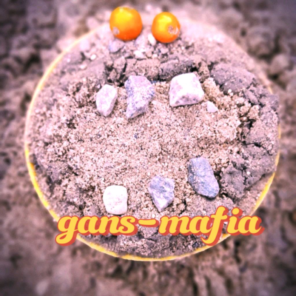 Иконка канала gans-mafia