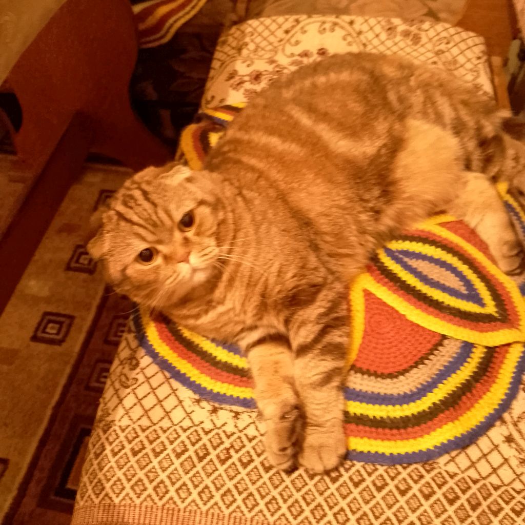 Иконка канала Никита