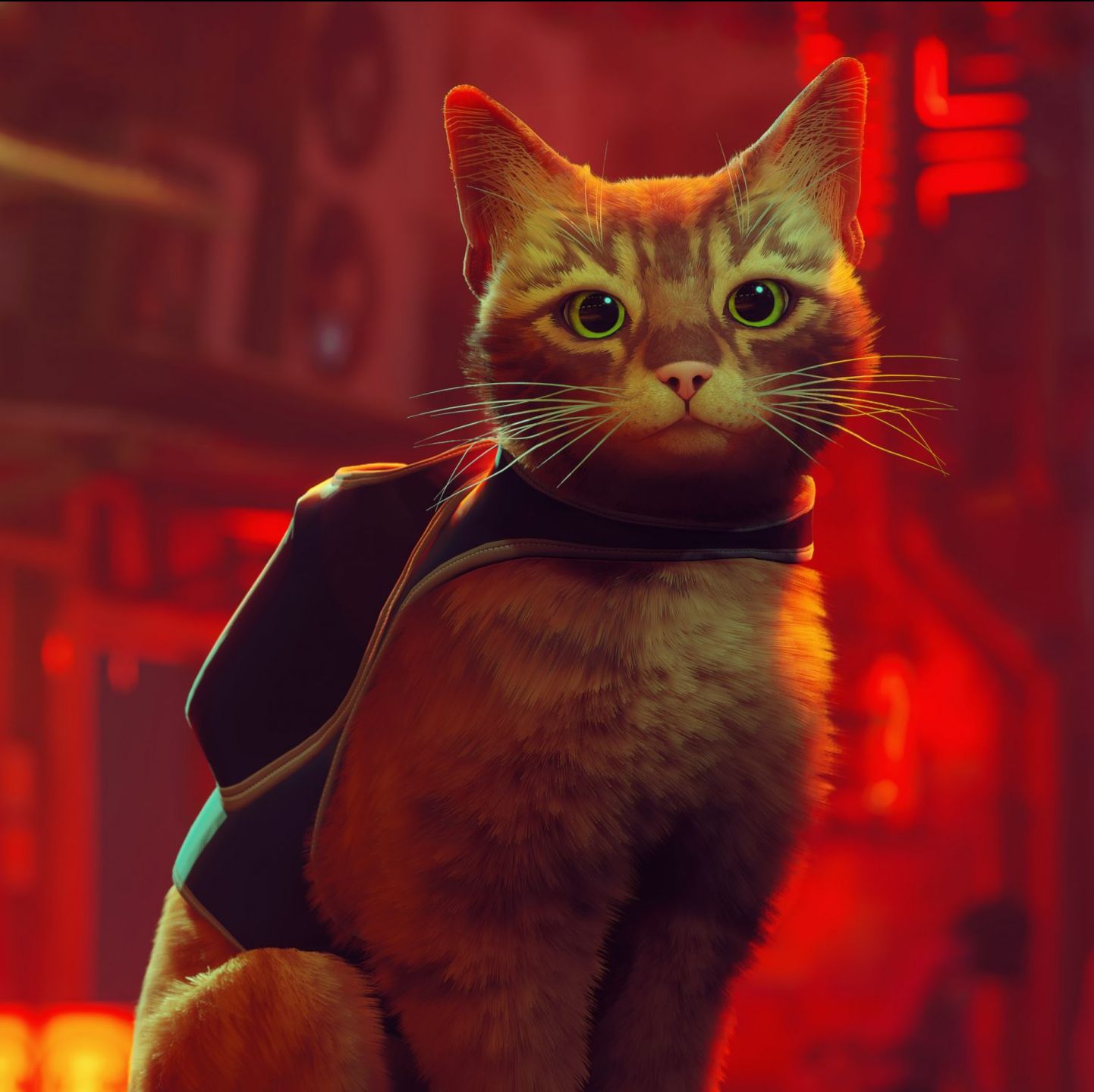 Иконка канала Кот кашак