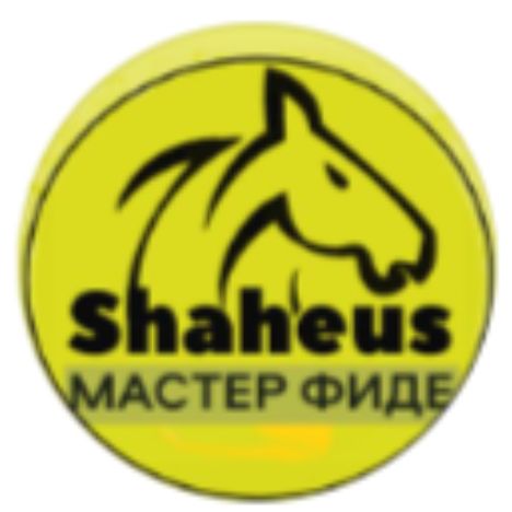 Иконка канала Шахматы Школе