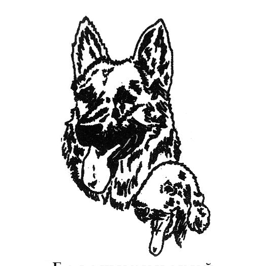 Иконка канала БКЦ Феникс