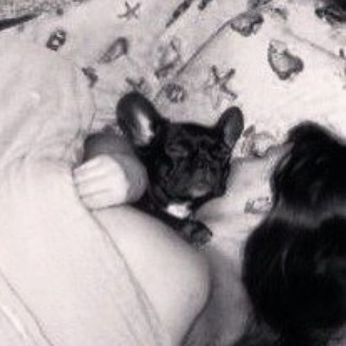 Иконка канала всё о Тольятти