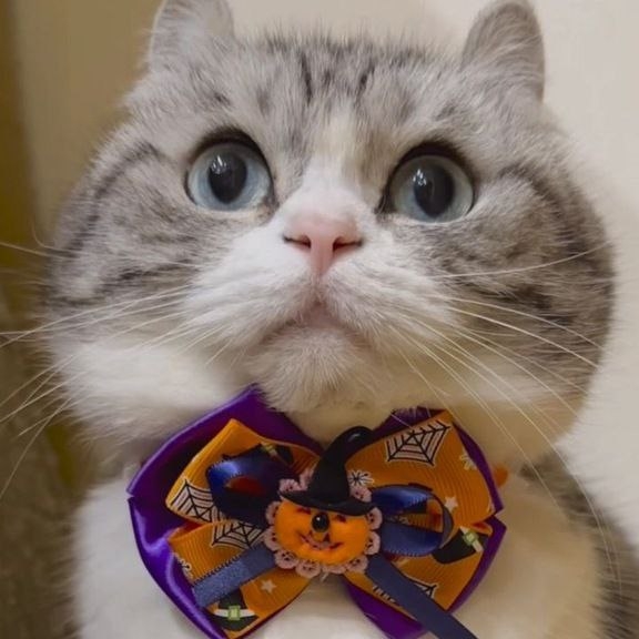 Иконка канала CurioS