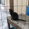 Иконка канала Разнообразие И Бравл Старс