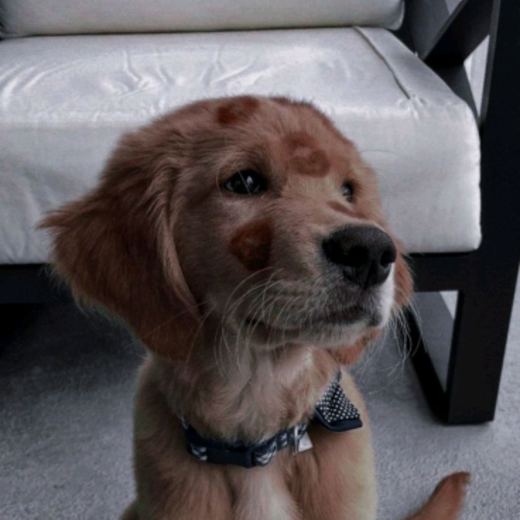 Иконка канала (⁠^⁠^⁠)