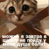 Иконка канала Варёк 🥥