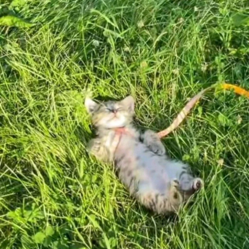 Иконка канала Вика 💗