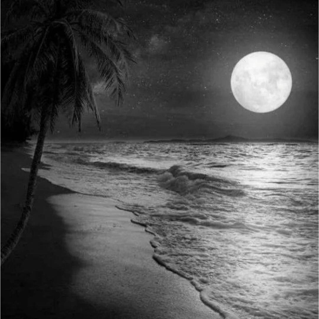 Иконка канала DemoD1ntes