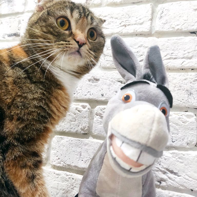 Иконка канала ngbtr7