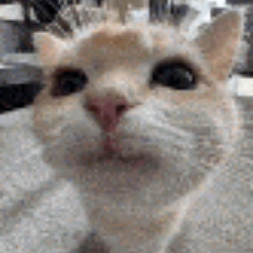 Иконка канала Котик ಠ_ಠ