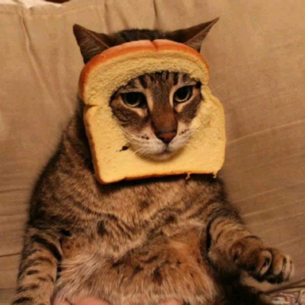 Иконка канала Тимбалэнд