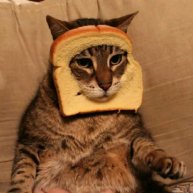 Иконка канала Тимбалэнд