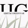 Иконка канала Цветы GREENVAR