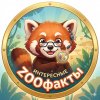 Иконка канала ZOOфакты