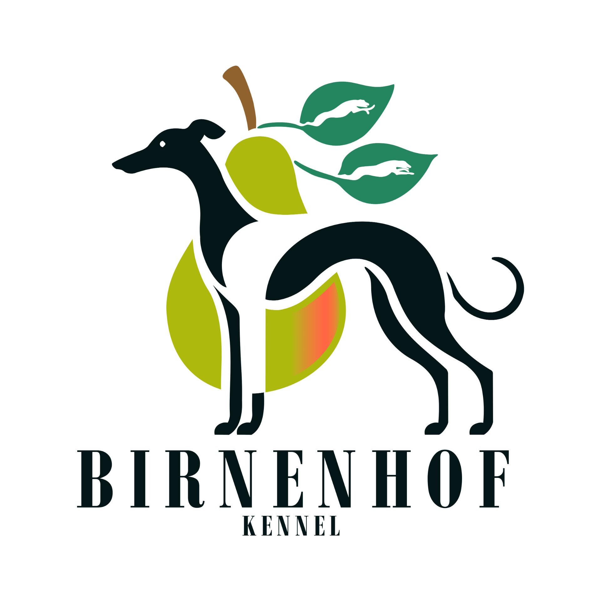 Иконка канала Питомник уиппетов Birnenhof