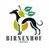 Иконка канала Питомник уиппетов Birnenhof
