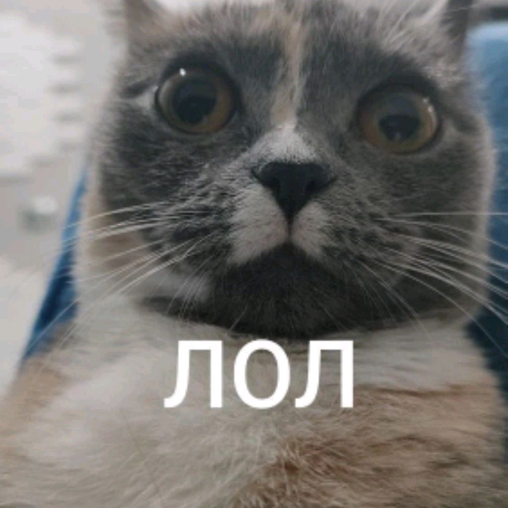 Иконка канала Роблокс Шоу