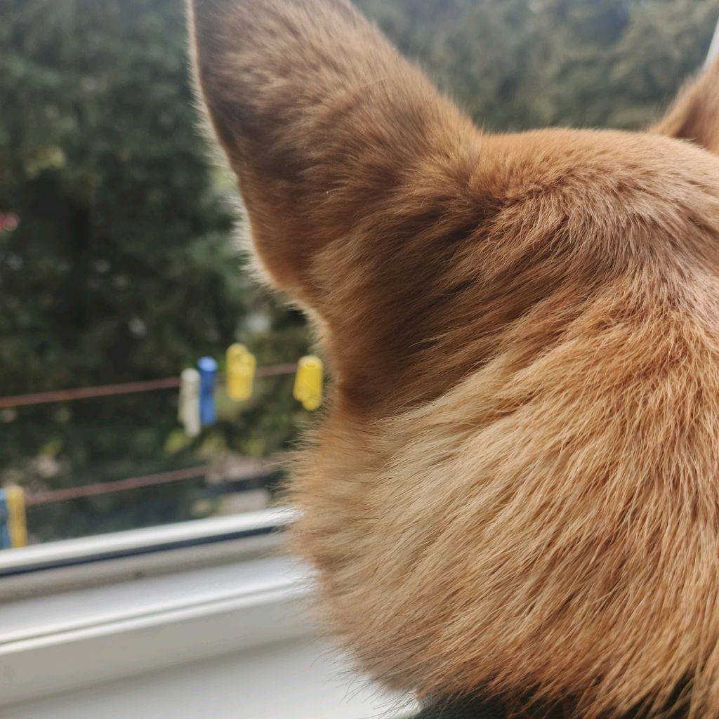 Иконка канала ФОРТУНЯО🦄