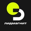 Иконка канала Партнерская сеть Лидмагнит