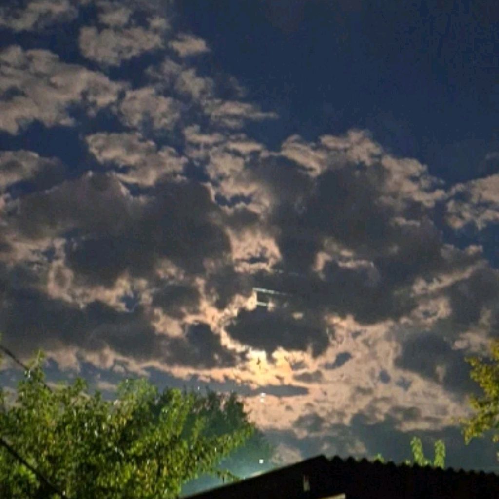 Иконка канала channel53152842