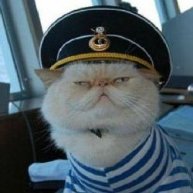 Иконка канала KoT_B_kedax