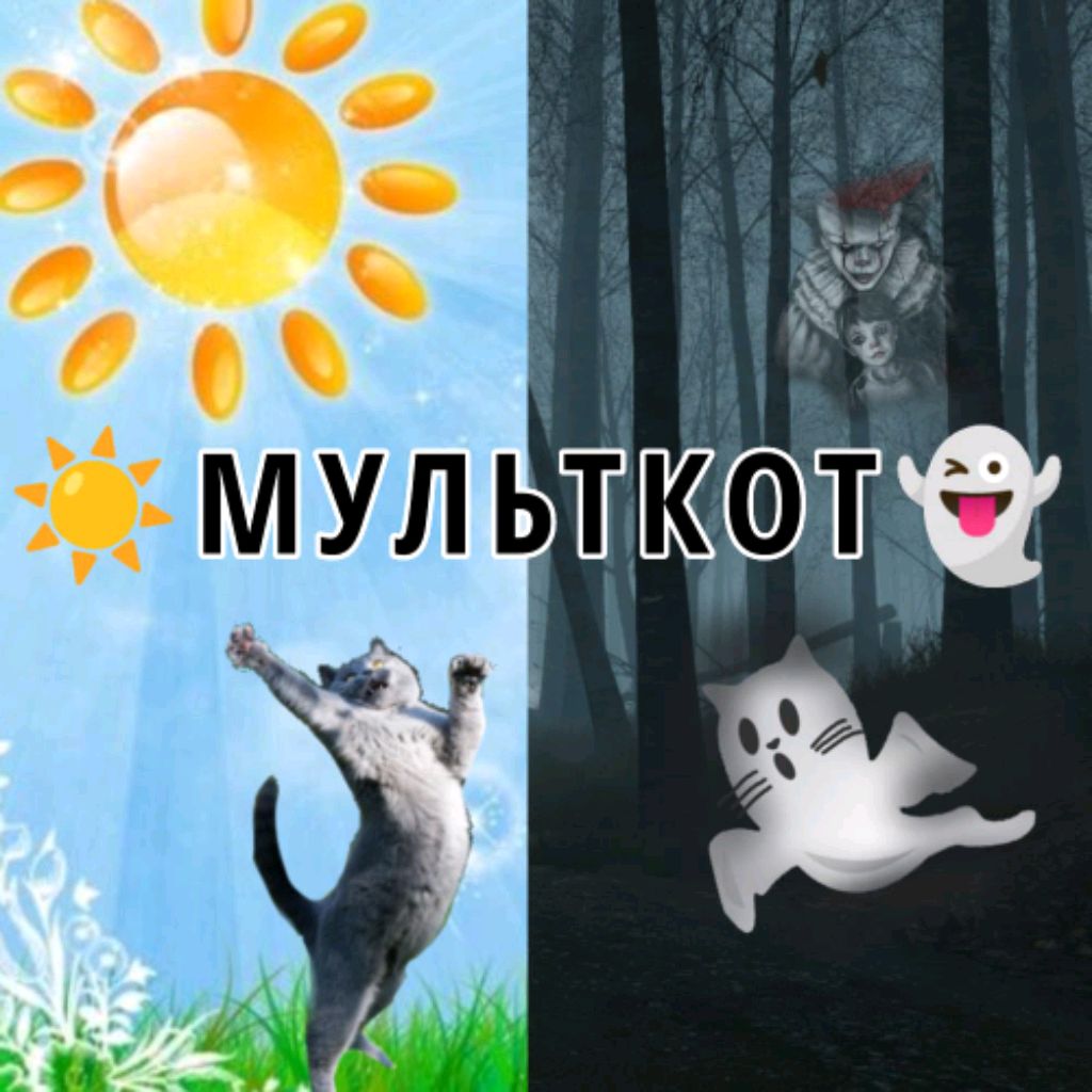 Иконка канала мультикот