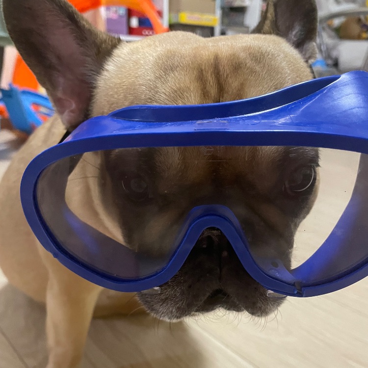 Иконка канала Oleg_prm