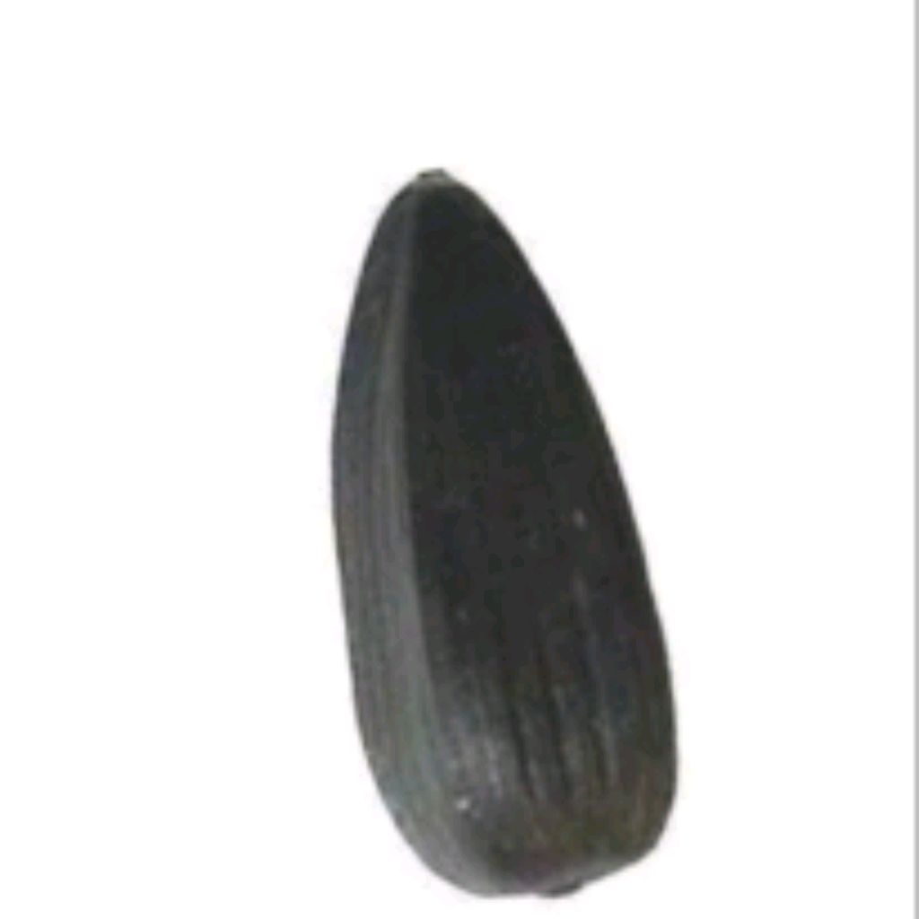 Иконка канала Семечко