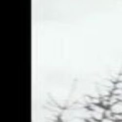 Иконка канала Деян Пуряков