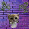 Иконка канала BARSIK_CAT