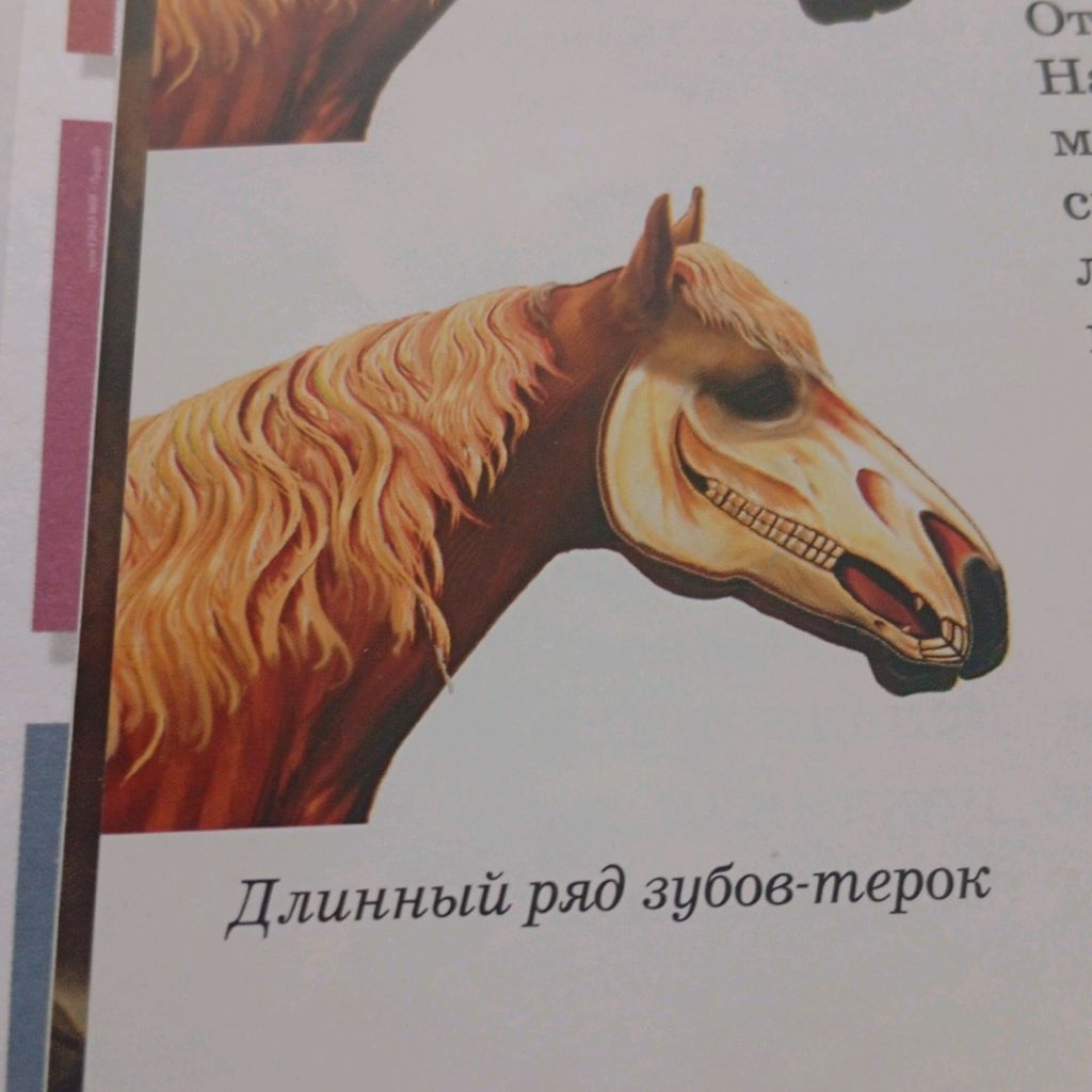 Иконка канала Хобби Хостинг И Квд🌠🌌