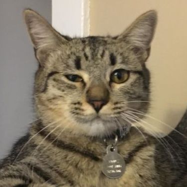 Иконка канала channel76591422