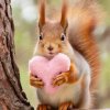 Иконка канала Сибирские белки🐿️❤️ Squirrels