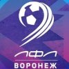 Иконка канала ЛФЛ ВОРОНЕЖ