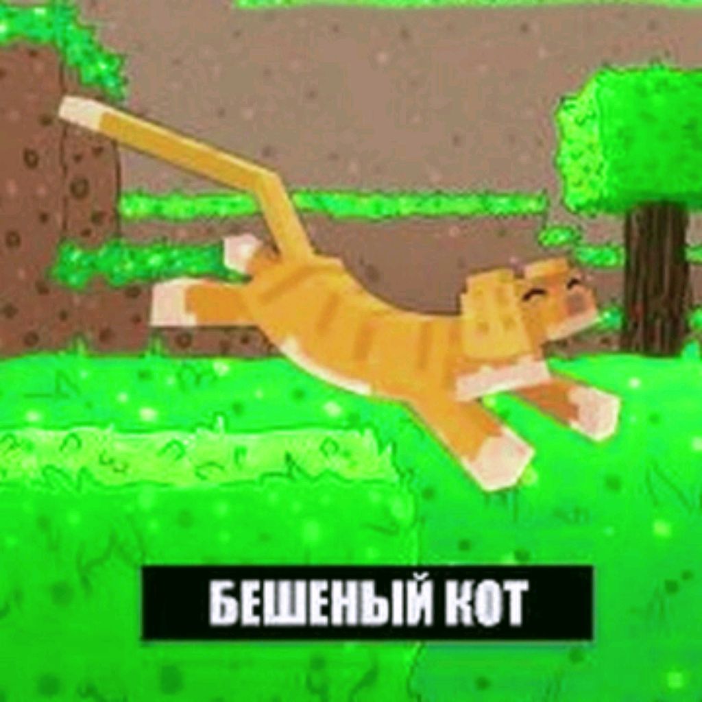 Иконка канала .БЕШЕННЫЙ_КОТ.🐱