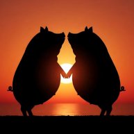 Иконка канала oler201018