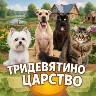 Иконка канала ТриДевятино Царство