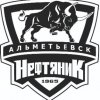 Иконка канала Хоккейный клуб "Нефтяник" г. Альметьевск