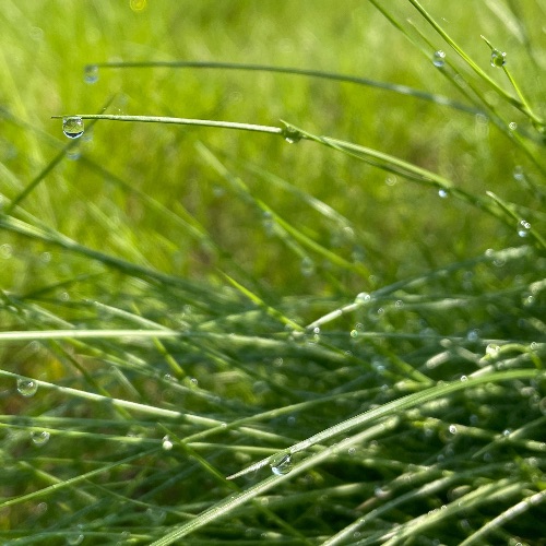 Иконка канала ГАЗОН41