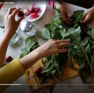 Иконка канала Videoeda