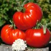 Иконка канала EcoTomato