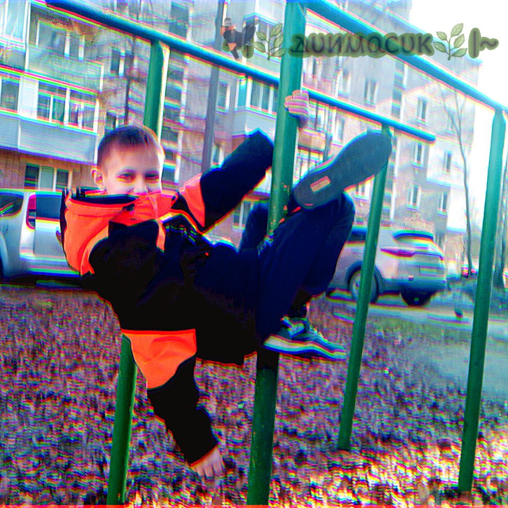 Иконка канала ~|🌿ⲇυⲙᥲᥴυⲕ🌿|~