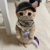 Иконка канала KLONEEX